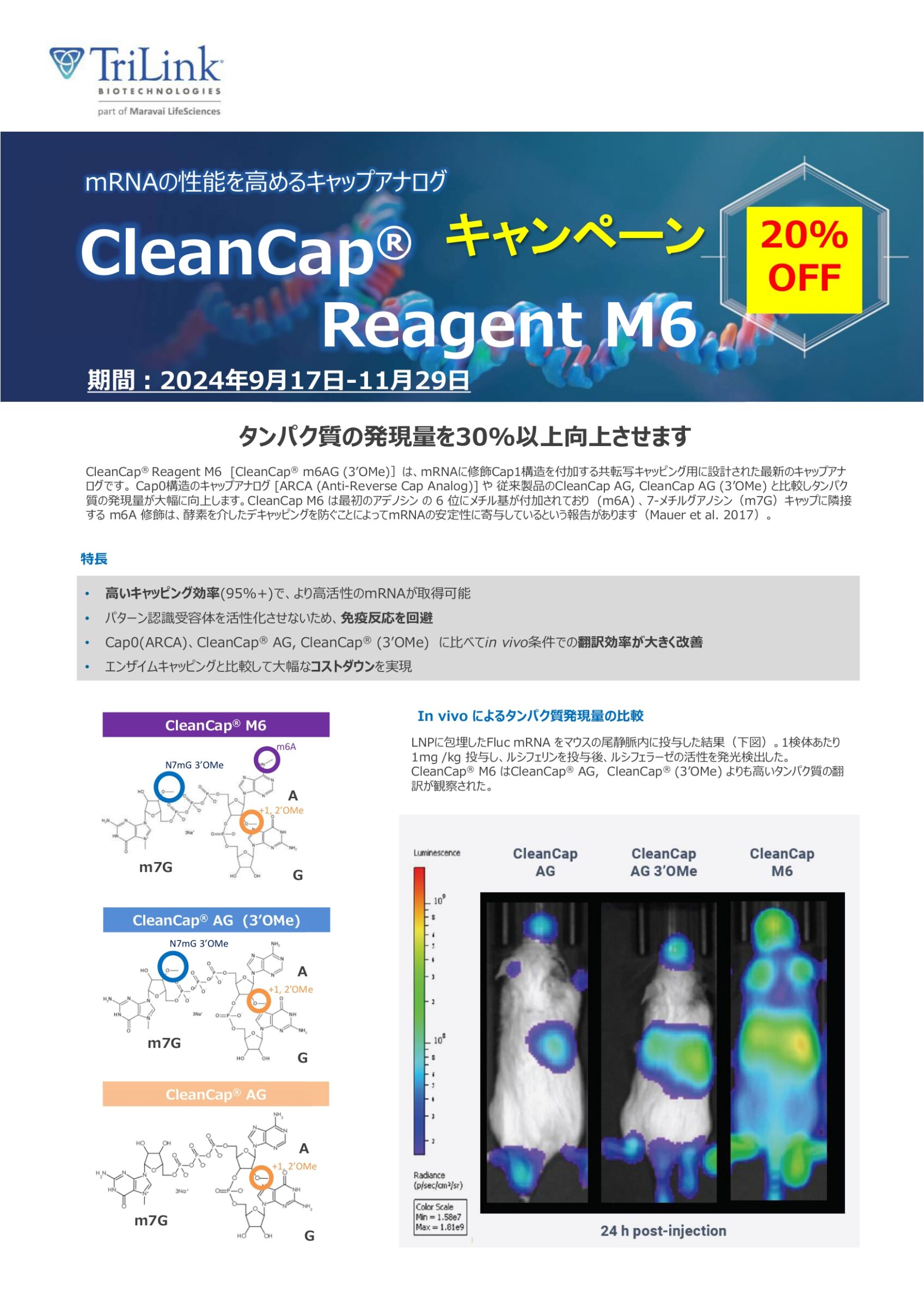 TriLink社CleanCap® M6製品 20%OFFキャンペーン | 京都和光純薬株式会社